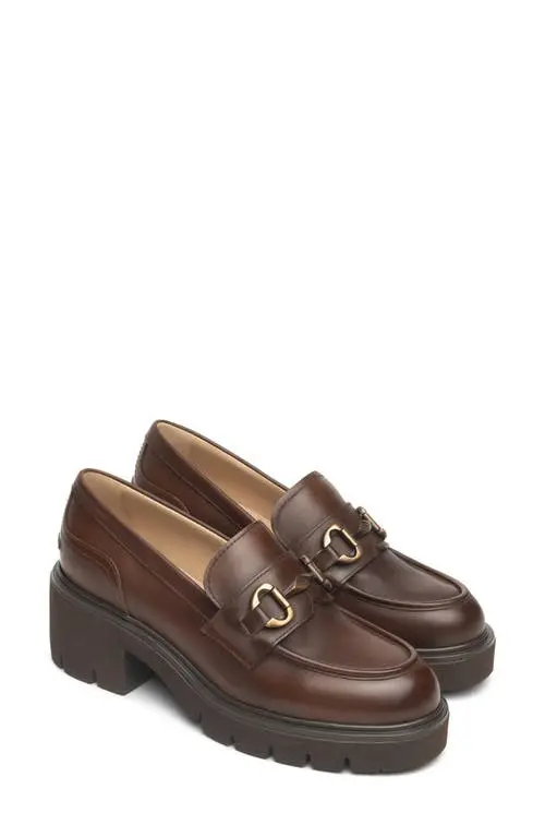 NEROGIARDINI Lug Sole Loafer - Dark Brown