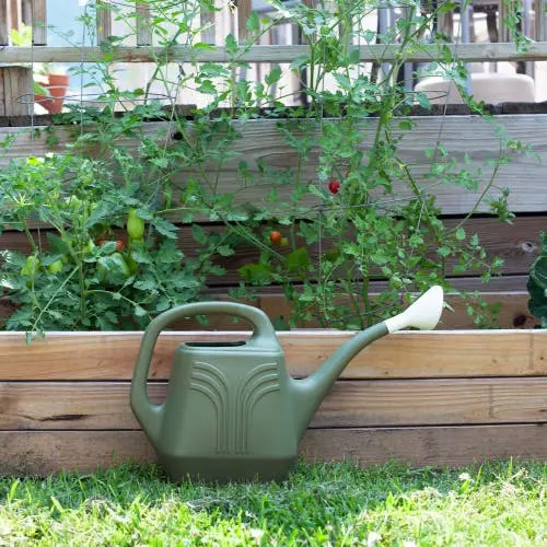 BLOEM 2 Gallon Promo Watering Can