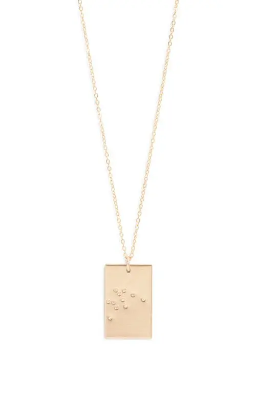 SET & STONES Zodiac Constellation Pendant Necklace - Gold/aquarius