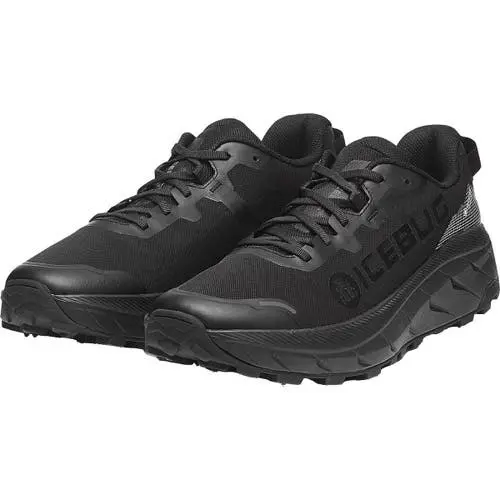 ICEBUG Arcus 2 Bugrip Gtx Running Shoe
