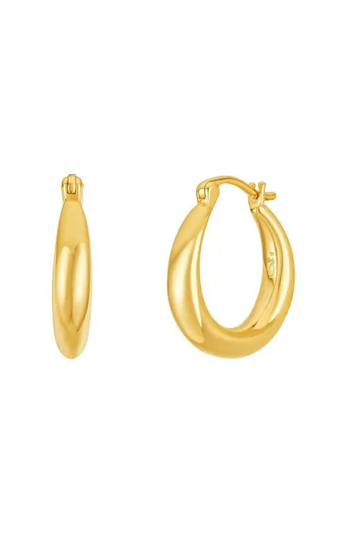 UNTAMED PETALS Nadia Classic Hoop Earrings - Gold