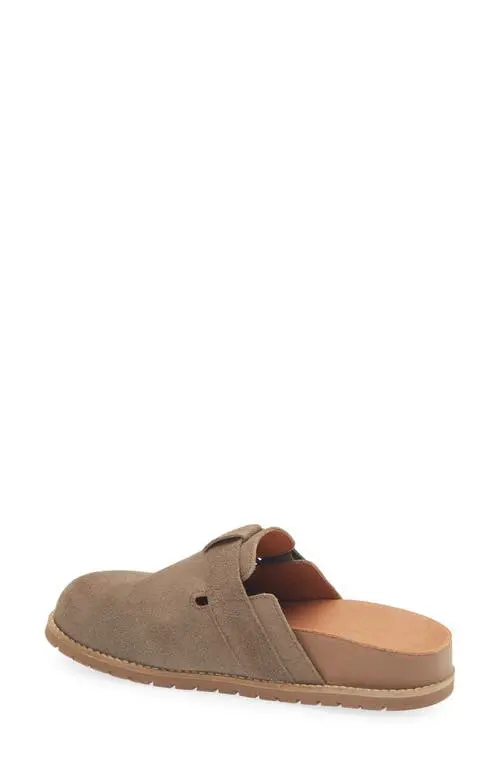CHOCOLAT BLU Yuko Clog - Taupe Suede