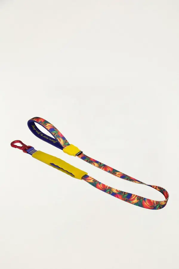 FARM RIO ZEEDOG Farm Rio X Zee.dog Samba Air Leash - Multi