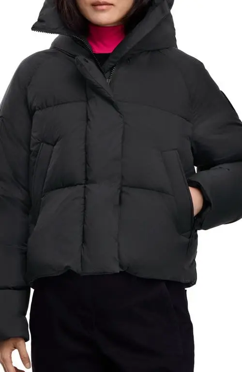 Canada Goose Chilliwack 750 Fill Power Down Puffer Jacket - Black