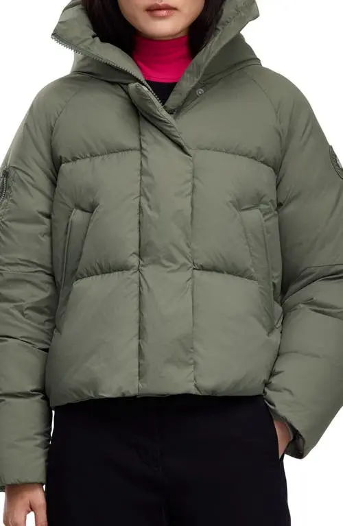 Canada Goose Chilliwack 750 Fill Power Down Puffer Jacket - Sagebrush