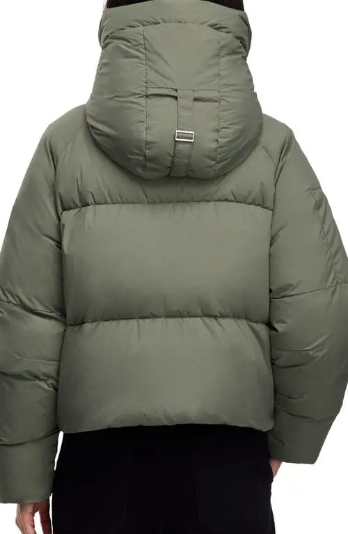 Canada Goose Chilliwack 750 Fill Power Down Puffer Jacket - Sagebrush