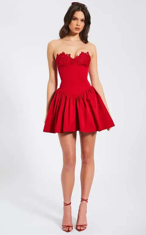 MISS CIRCLE NEW YORK Sacha Drop Waist Corset Mini Dress