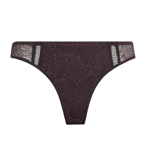 Simone Perele Lace Comète Bikini Briefs - Brown