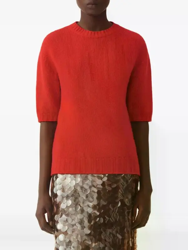 Fabiana Filippi Short-sleeve Knit Jumper