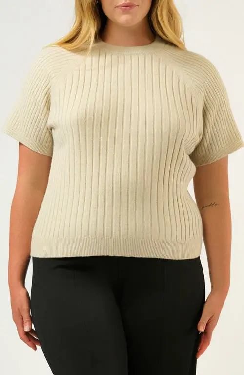 ESTELLE Ribbed Raglan Sleeve Sweater