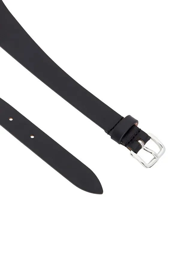 DEHANCHE Laisse Belt