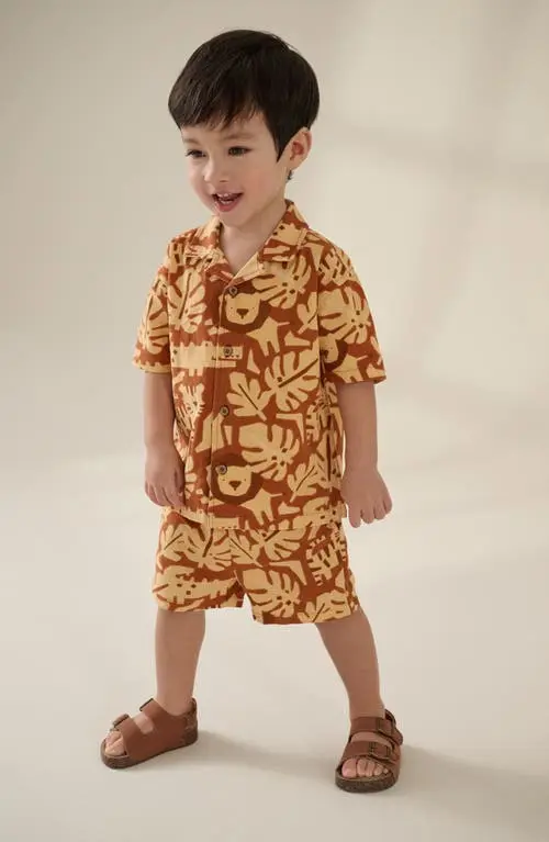NEXT Safari Shirt And Shorts Set