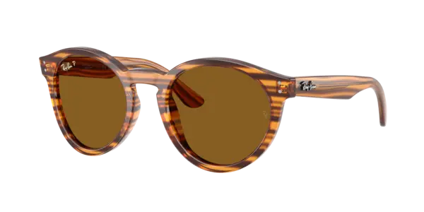 Ray-ban Reverse Sunglasses - Dark Brown Polarized
