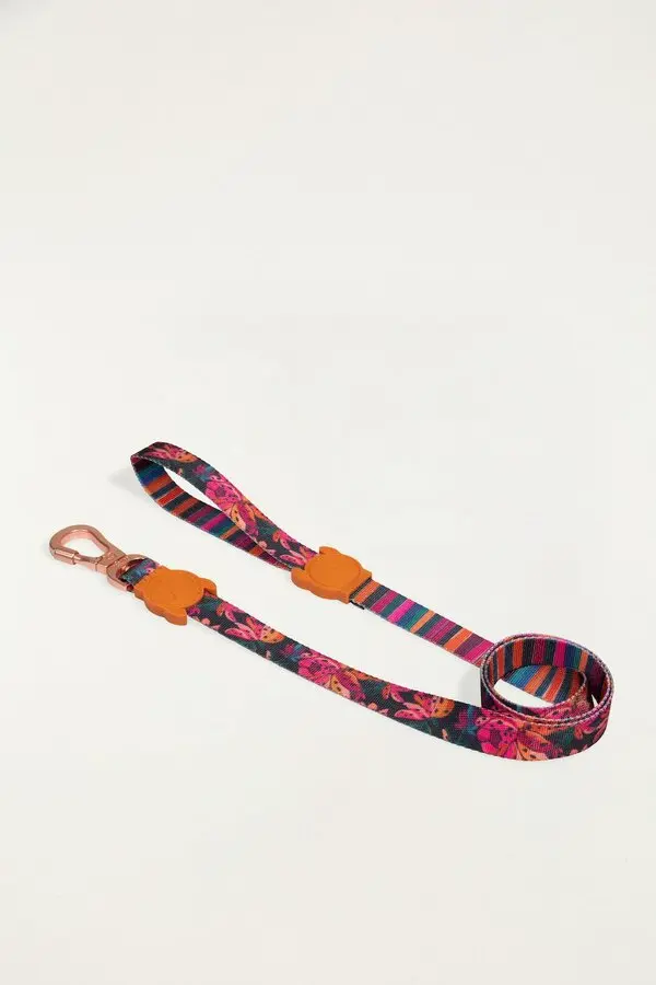 FARM Rio X Zee.Dog Sunset Leash - Multi
