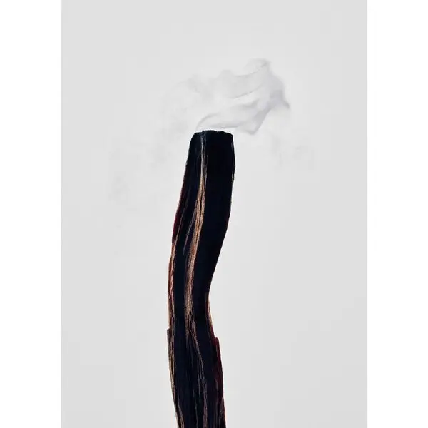 Loewe Medium Palo Santo Candle, 20.7 Oz