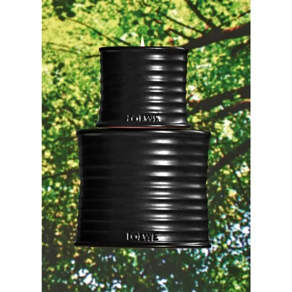Loewe Medium Palo Santo Candle, 20.7 Oz