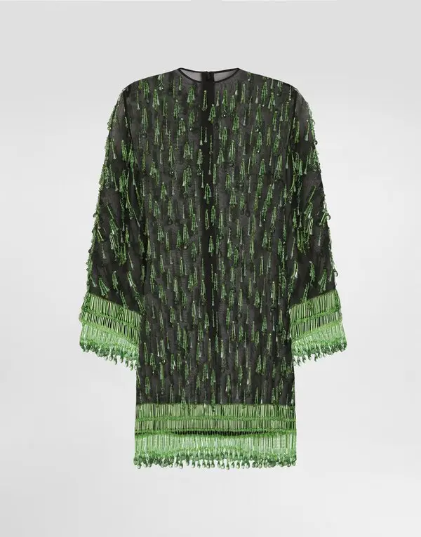 Dolce & Gabbana Short Flared Organza Dress With Embroidery