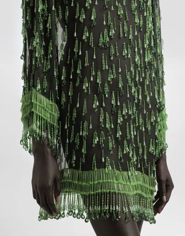 Dolce & Gabbana Short Flared Organza Dress With Embroidery