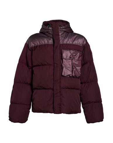 C.P. COMPANY Padded Hooded Jacket - Red