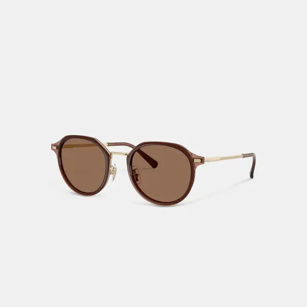 Coach Textured Metal Round Frame Sunglasses - Crystal Brown