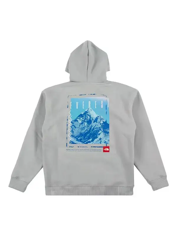 The North Face Mount Everest Graphic Hoodie - Grey