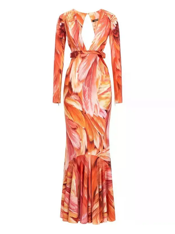 Roberto Cavalli Feather-print Cut-out Maxi Dress - Orange
