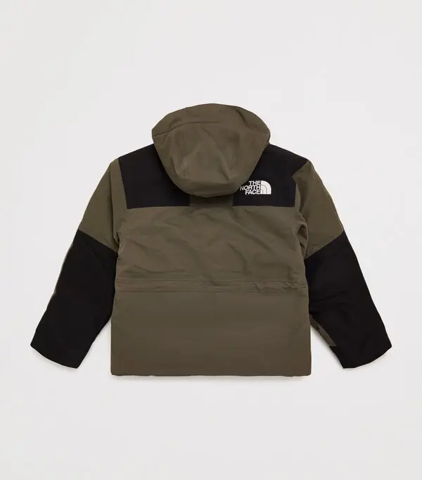 The North Face Mountain Down Jacket