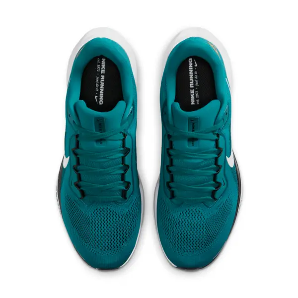 Nike Jacksonville Jaguars Pegasus 41 Nfl Road Running Shoes  display picture 1