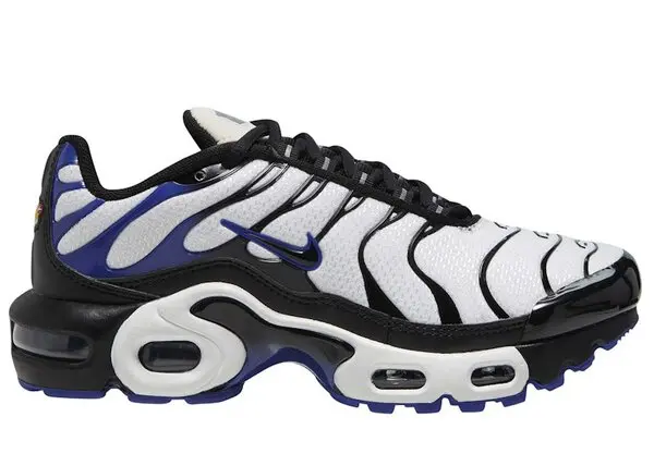 Nike Air Max Plus Sneakers