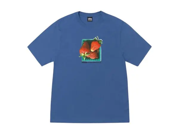 StÜssy Berries Tee Shirt - Blue