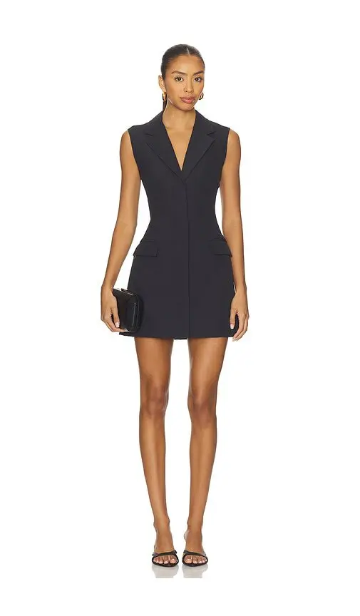 LOVERS AND FRIENDS Sophia Mini Dress