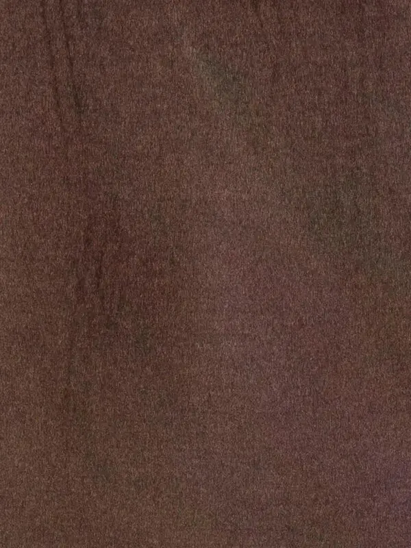 Corneliani Fringed Scarf - Brown