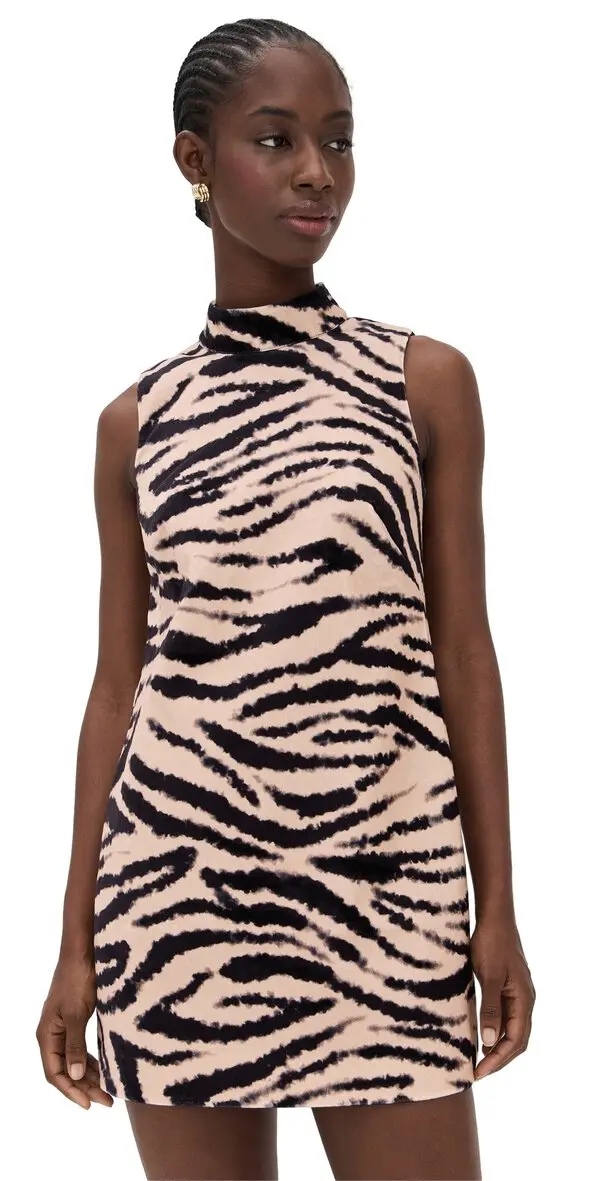 Cara Cara Tay Zebra Print Mini Dress