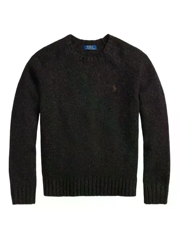 Polo Ralph Lauren Raglan-sleeve Wool Sweater