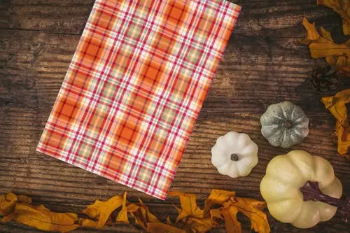 C&F HOME Briar Plaid Handwoven 100% Cotton Fall Kitchen Dishtowel