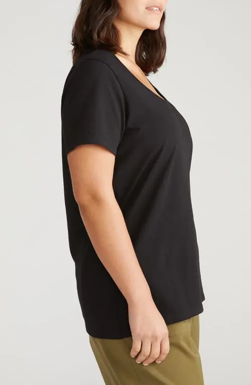 Universal Standard Stretch Cotton Jersey T-shirt - Black