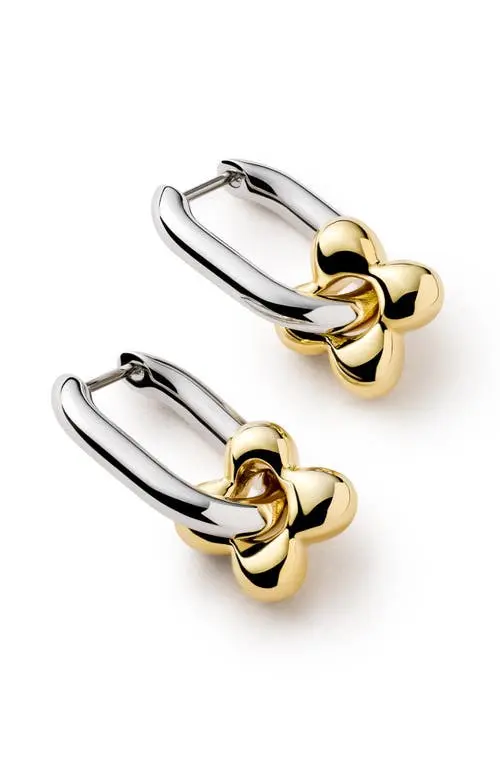 ANA LUISA Cassia Drop Hoop Earrings