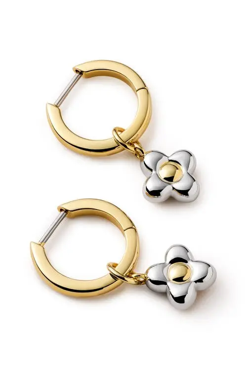 ANA LUISA Liora Drop Hoop Earrings