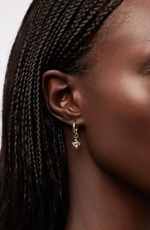 ANA LUISA Liora Drop Hoop Earrings