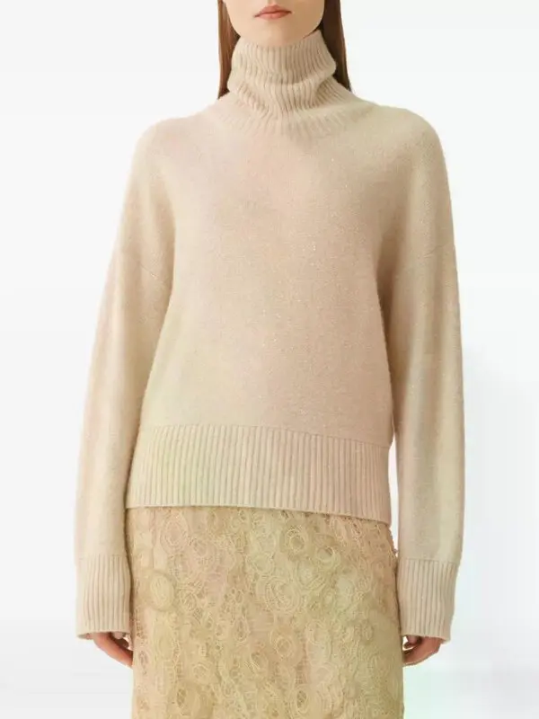 Fabiana Filippi Sequin-embellished Turtleneck Sweater