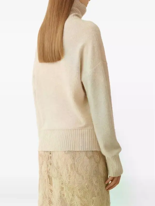 Fabiana Filippi Sequin-embellished Turtleneck Sweater