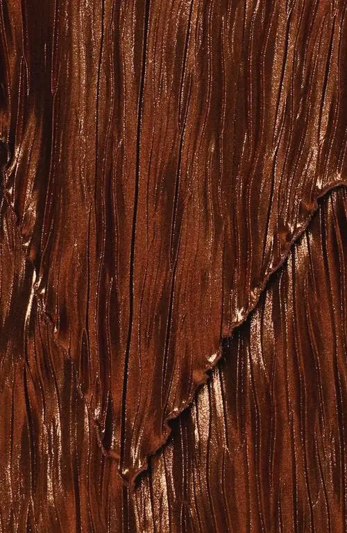 Anna Sui Fortuny Pleats Skirt