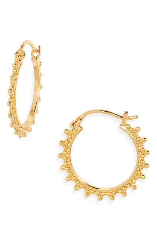 KIARA BY KI-ELE Medium Sol Hoop Earrings - Gold