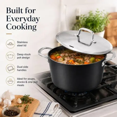 ALVA Maestro Nonstick Stock Pot With Lid