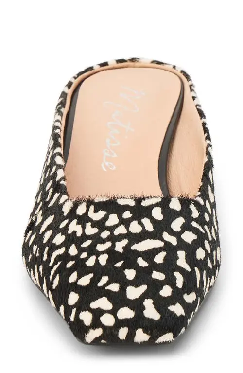 Matisse Kitten Heel Mule - Black Multi