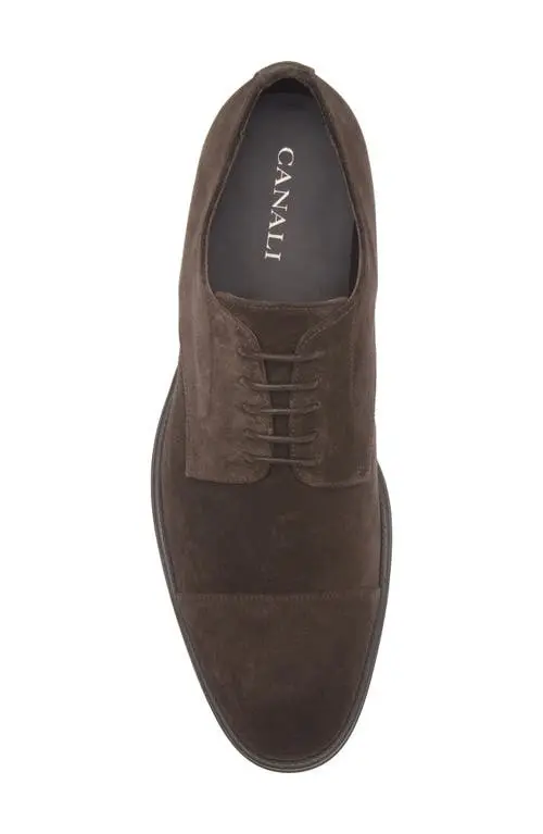 Canali Cap Toe Derby - Dark Brown