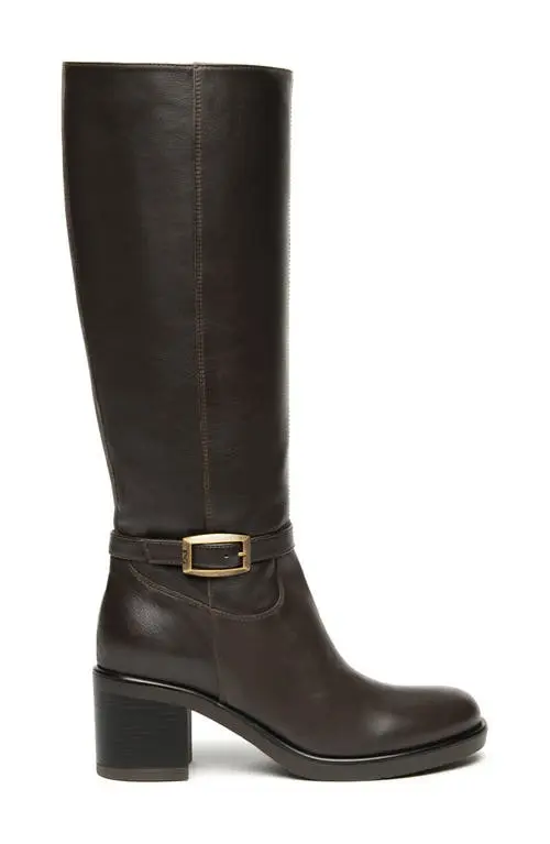 NEROGIARDINI Tall Buckle Boot - Chocolate
