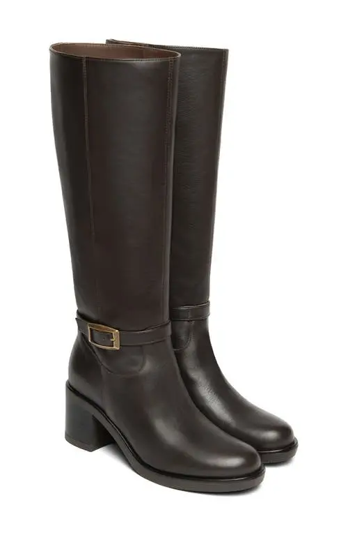 NEROGIARDINI Tall Buckle Boot - Chocolate