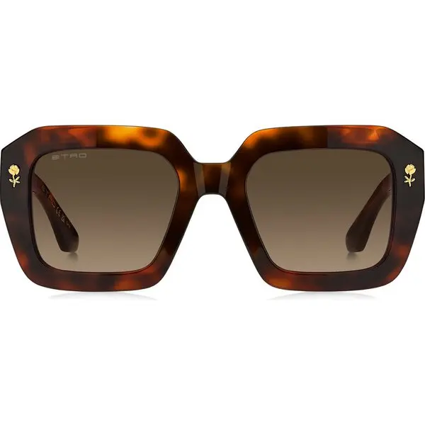 Etro 52mm Rectangular Sunglasses - Havana Red