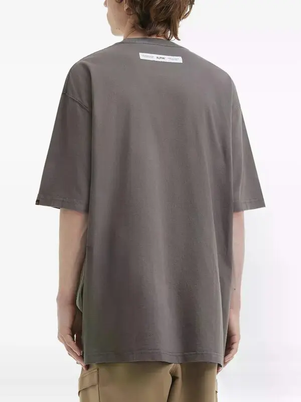 Alpha Industries Skull Graphic T-shirt - Grey